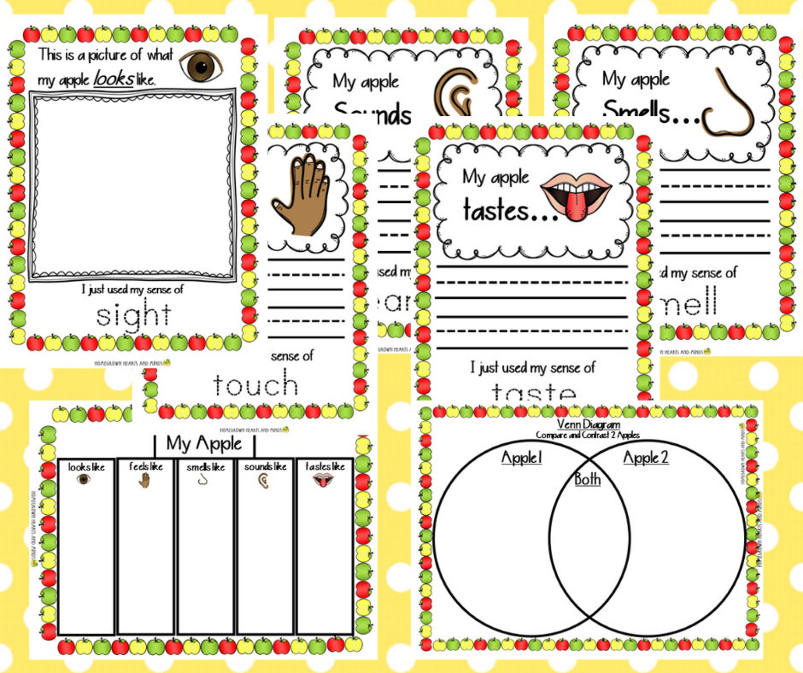 My Five Senses With Apples - Etsy