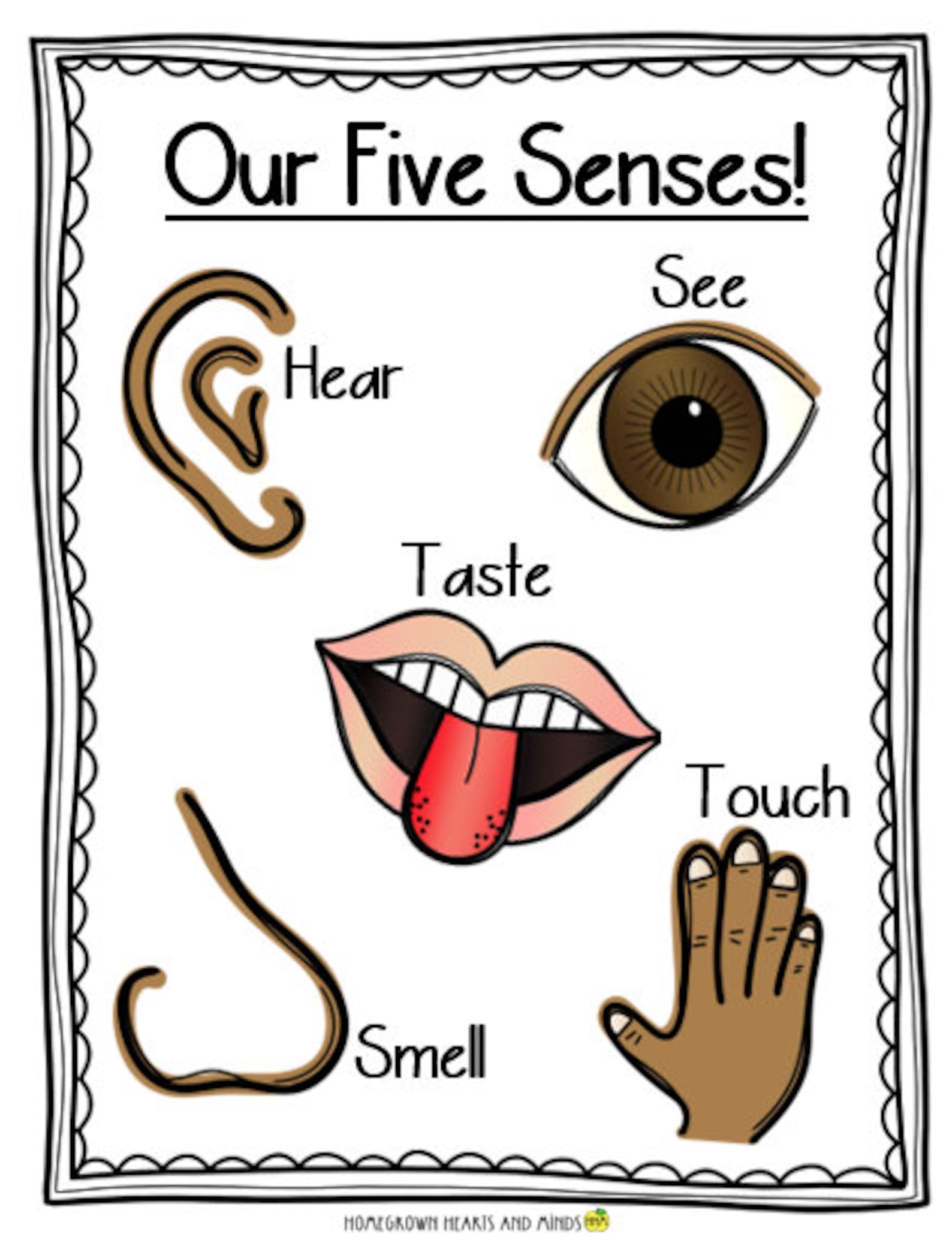 My Five Senses With Apples - Etsy