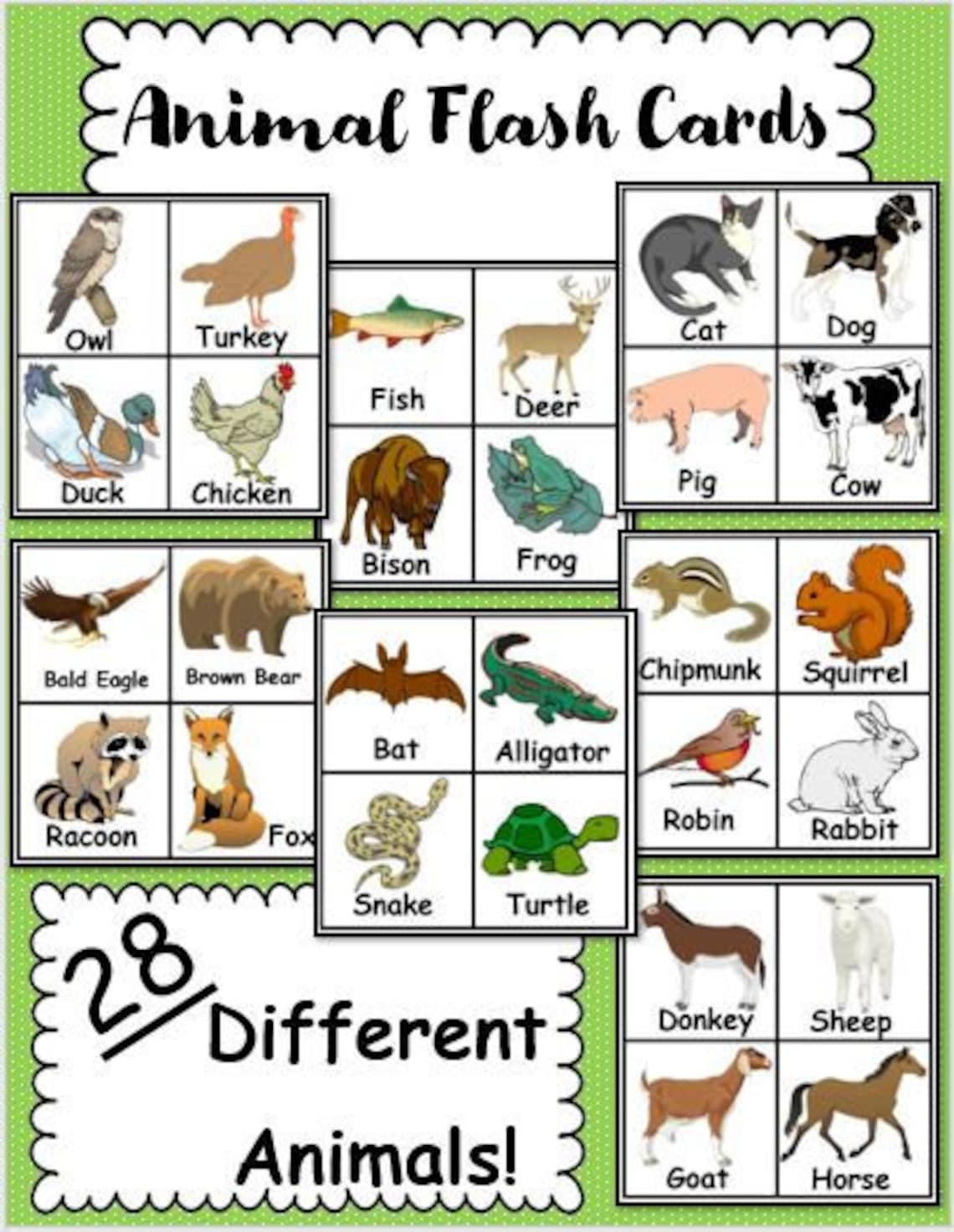 Animal Flash Cards - Etsy