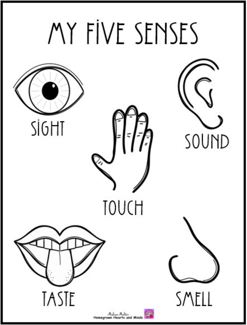 My Five Senses in the Fall - Etsy