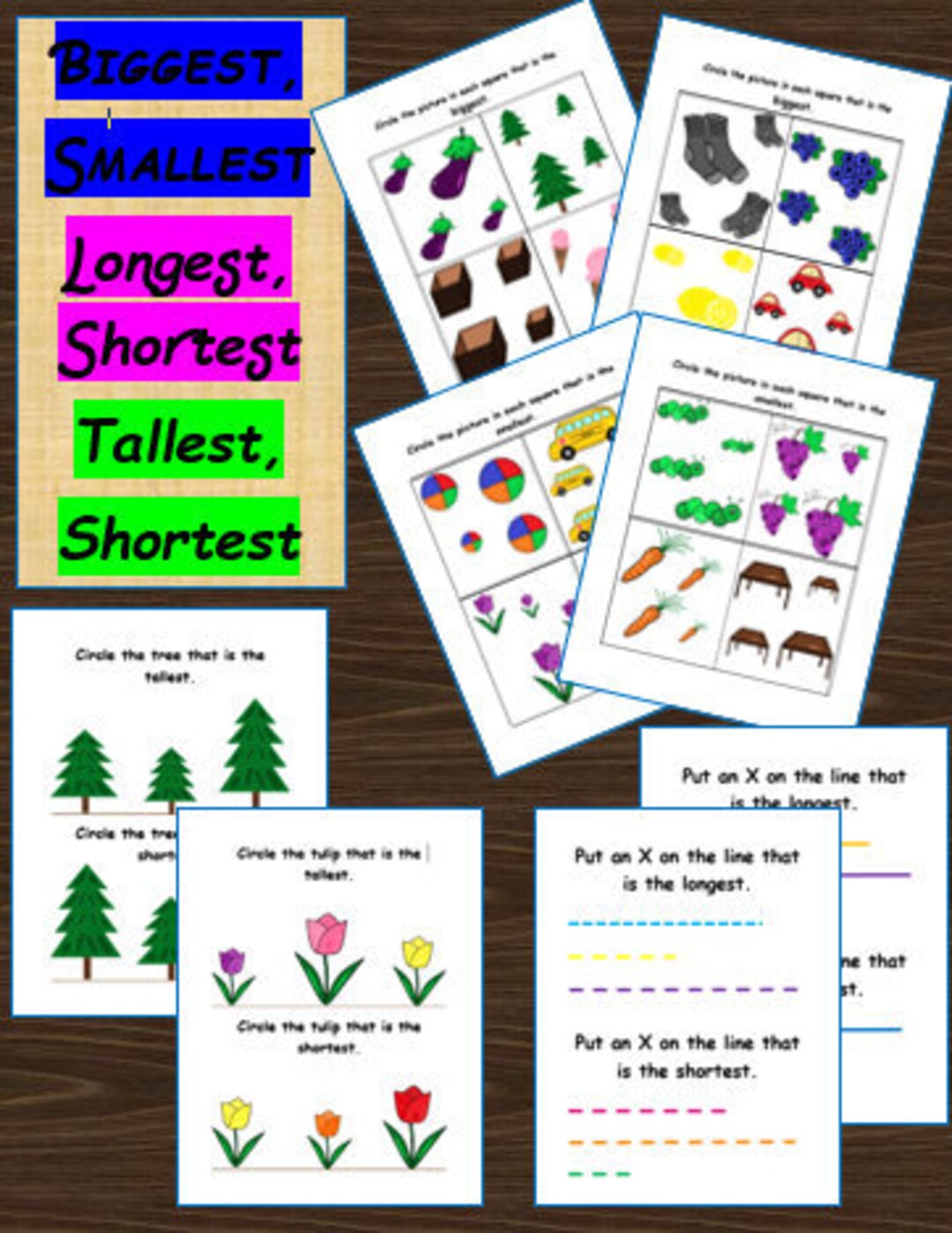 Biggest Smallest, Longest Shortest, Tallest Shortest, Early Childhood ...