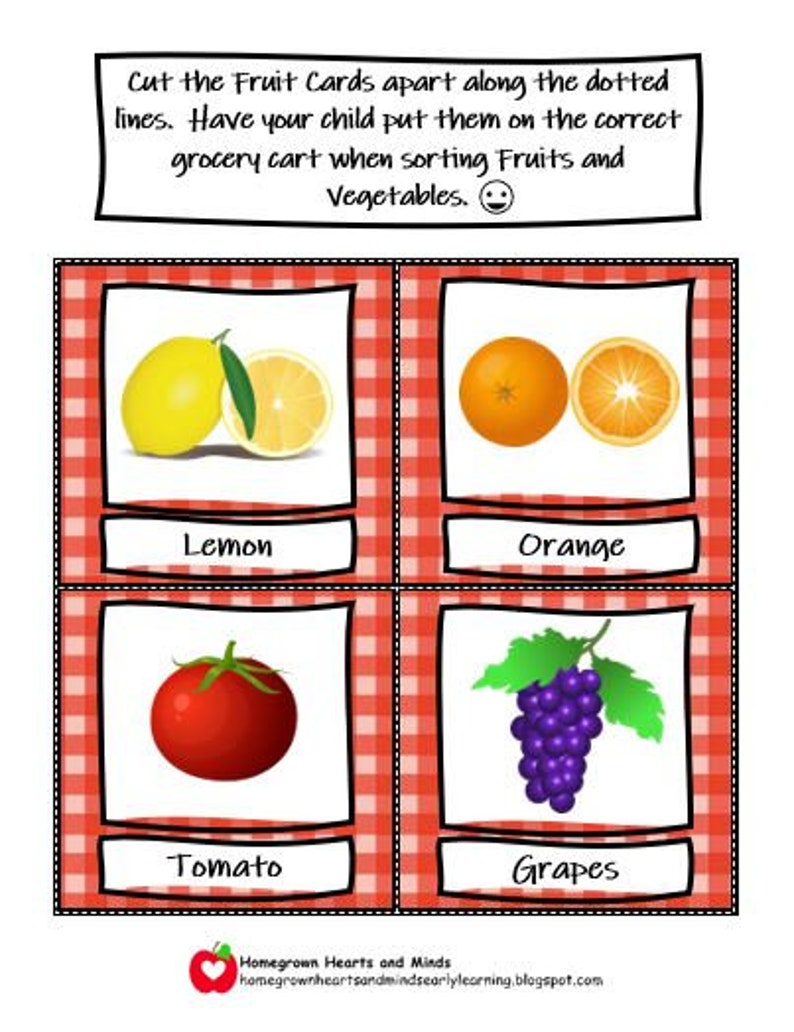 Fruit and Vegetable Sort - Etsy