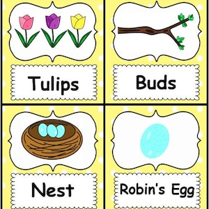 Spring Flashcards - Etsy