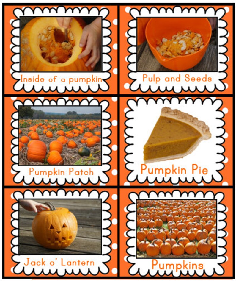 My Pumpkin Learning Pages - Etsy