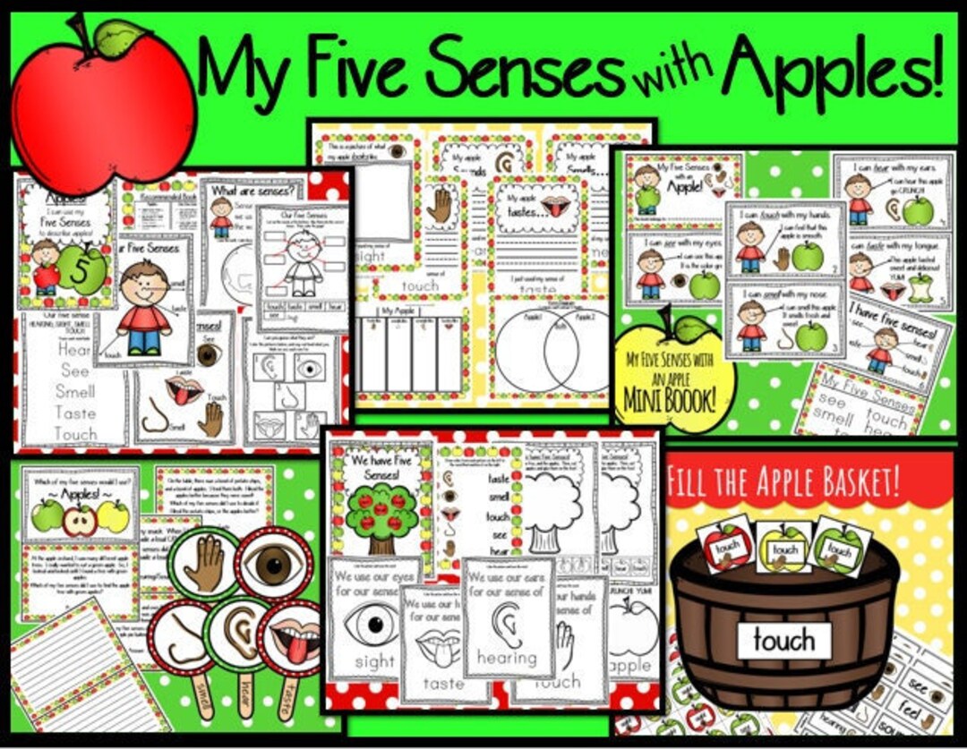 My Five Senses With Apples! - Etsy