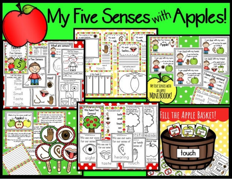 My Five Senses With Apples! - Etsy