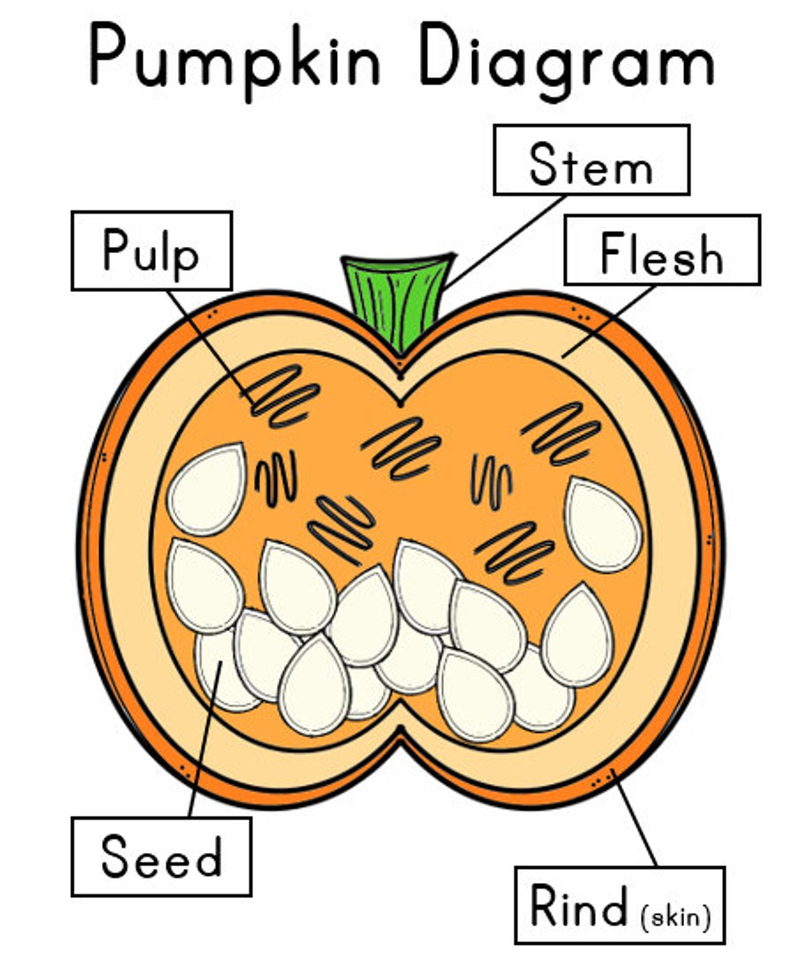 My Pumpkin Learning Pages - Etsy