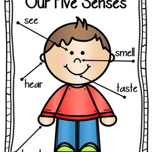My Five Senses With Apples! - Etsy