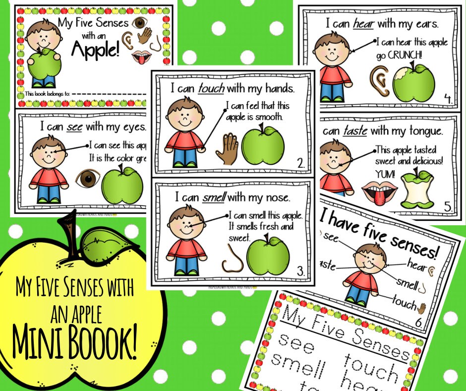 My Five Senses With Apples - Etsy