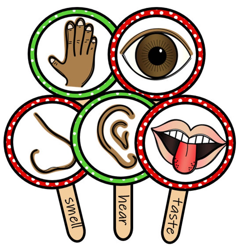 My Five Senses With Apples - Etsy