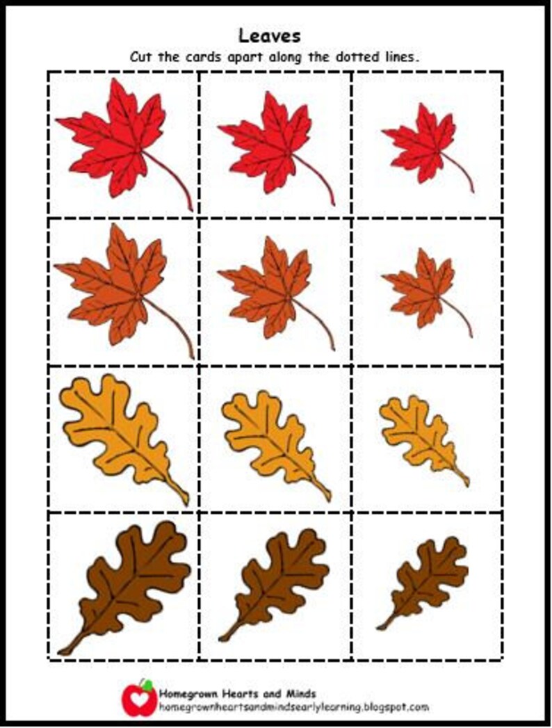 Fall Sorting and Ordering - Etsy