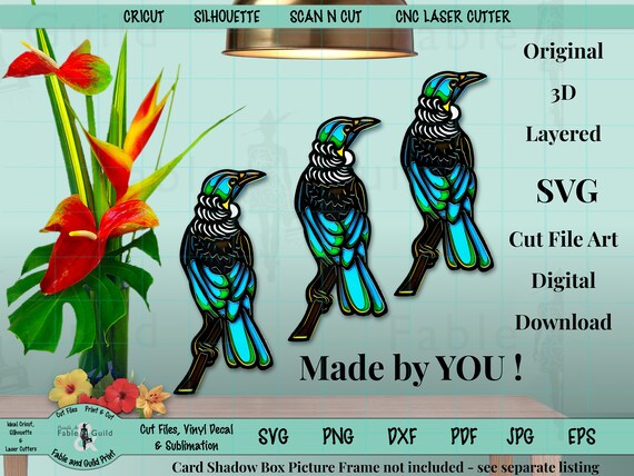 New Zealand Tui Bird 3D SVG Cut File for Cricut Designs Kiwi | Etsy