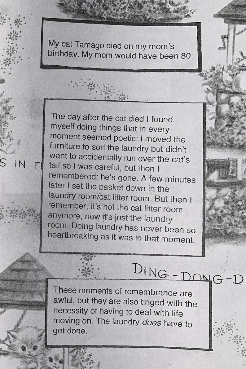 Caboose Zine #11 Loss Lessons - Etsy