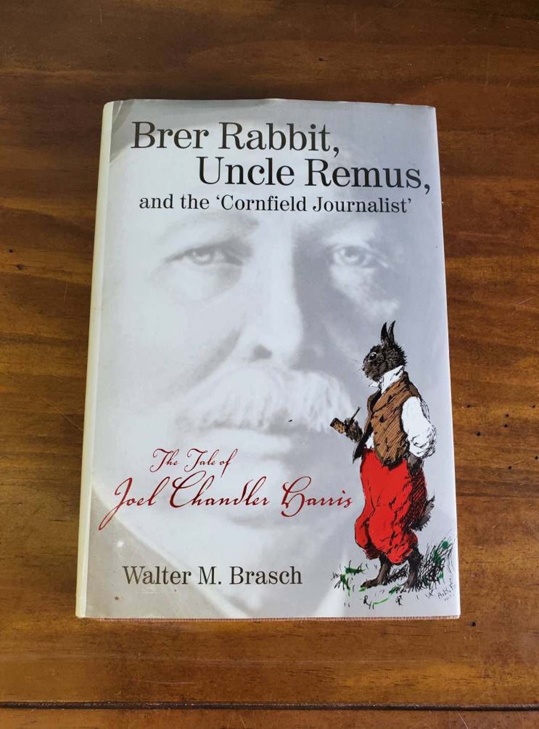 Brer Rabbit, Uncle Remus, and the Cornfield Journalist the Tale of Joe ...