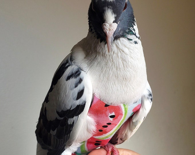 WATERMELON Pigeon Pants - Etsy