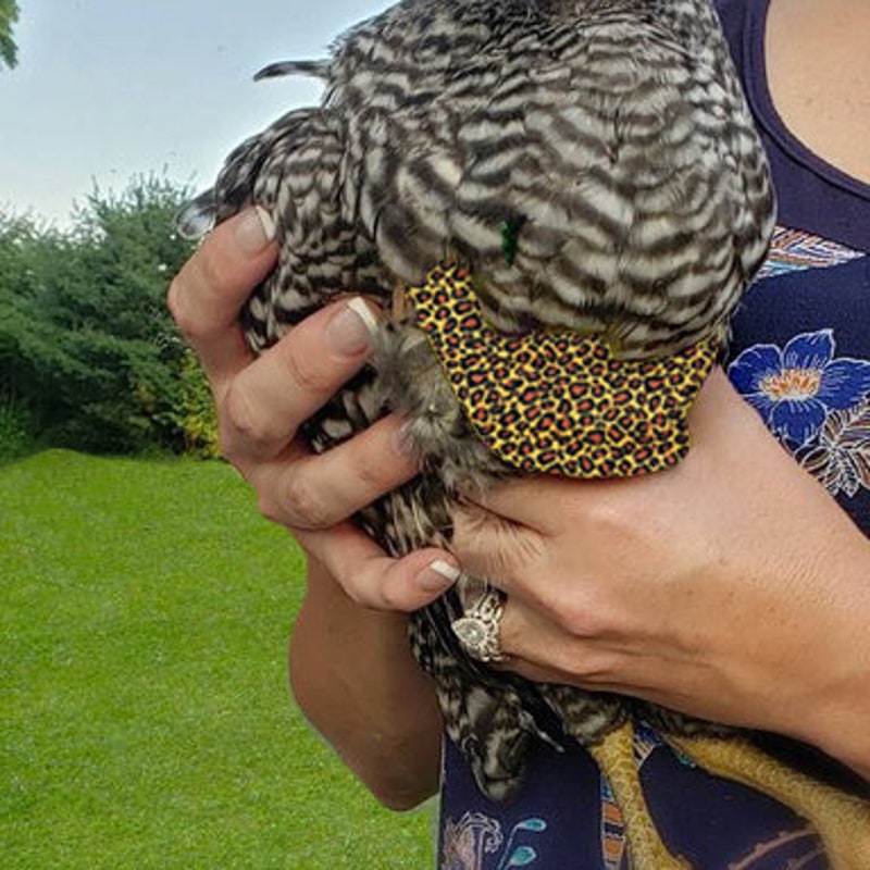 Chicken Crop Bra - Etsy