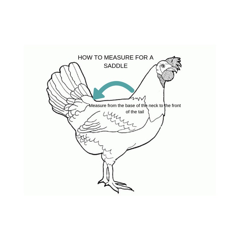 Chicken Saddle With Optional Wing Guard - Etsy