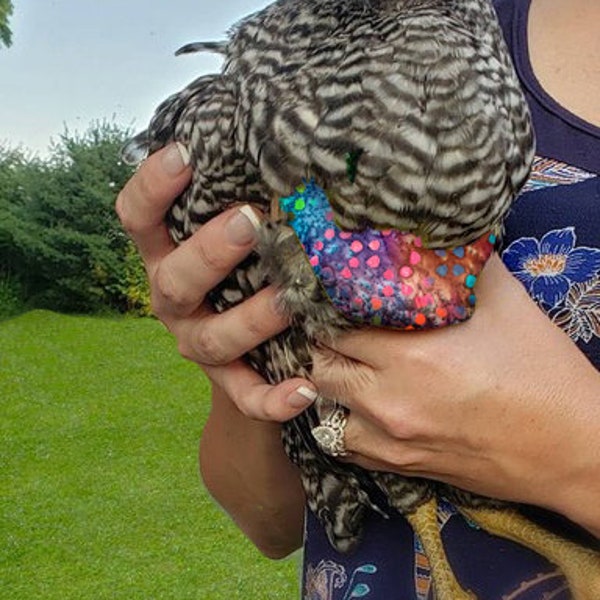 Chicken Crop Bra - Etsy