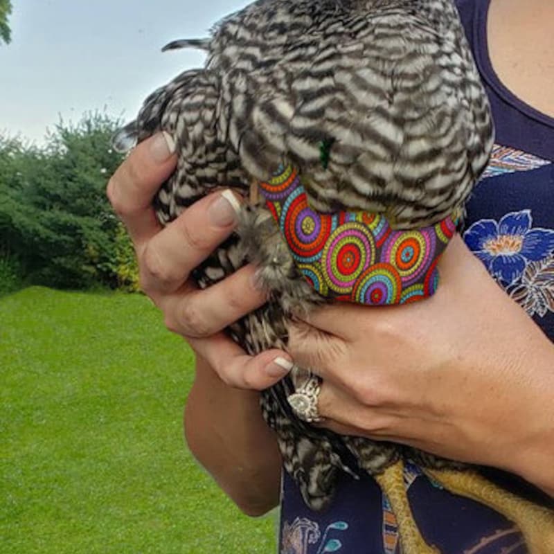Chicken Crop Bra - Etsy
