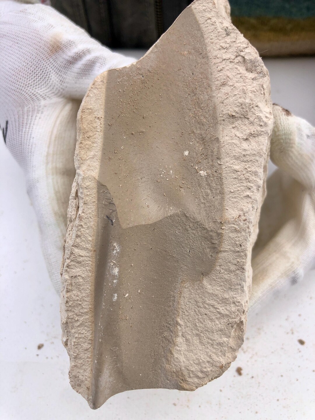 Menilite (opal) in Diatomaceous Earth 1.51 Kg (15.23 Euros/kg) From ...