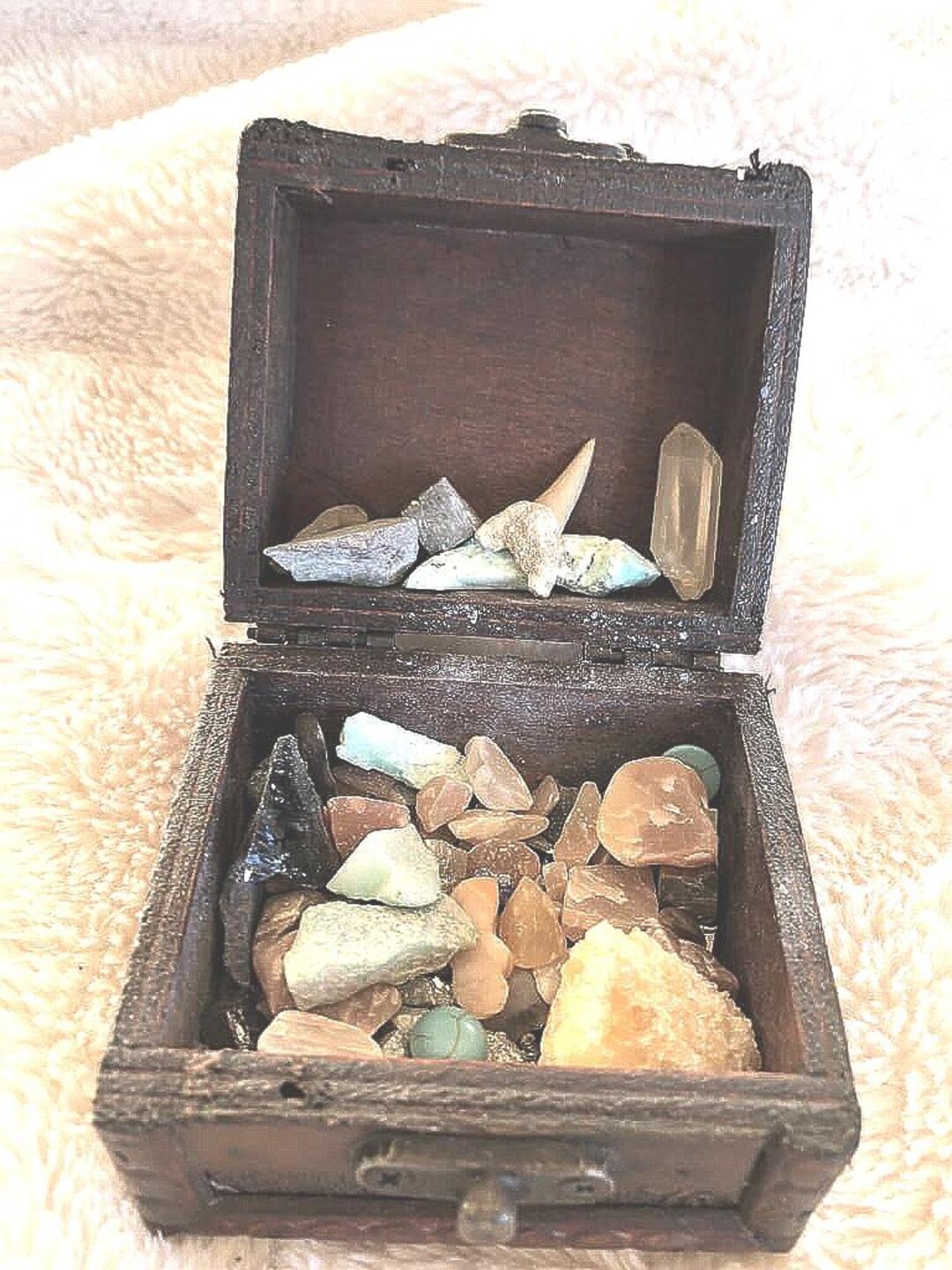Treasure Chest With Stones and Shark Tooth: A Surprise Not Only for ...
