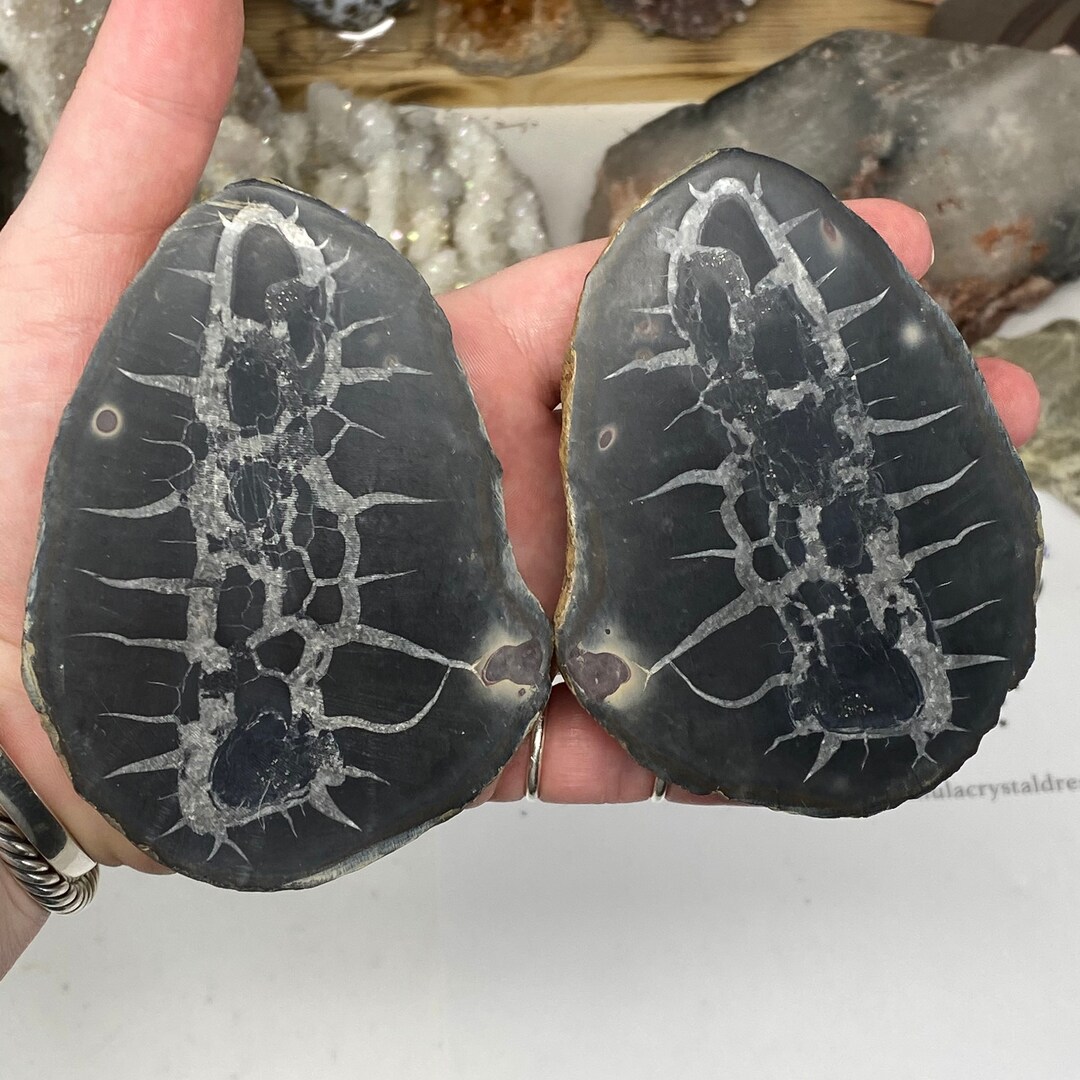 Septarian Large Nodule Pair #10, Septarian Nodule, Black Septarian ...