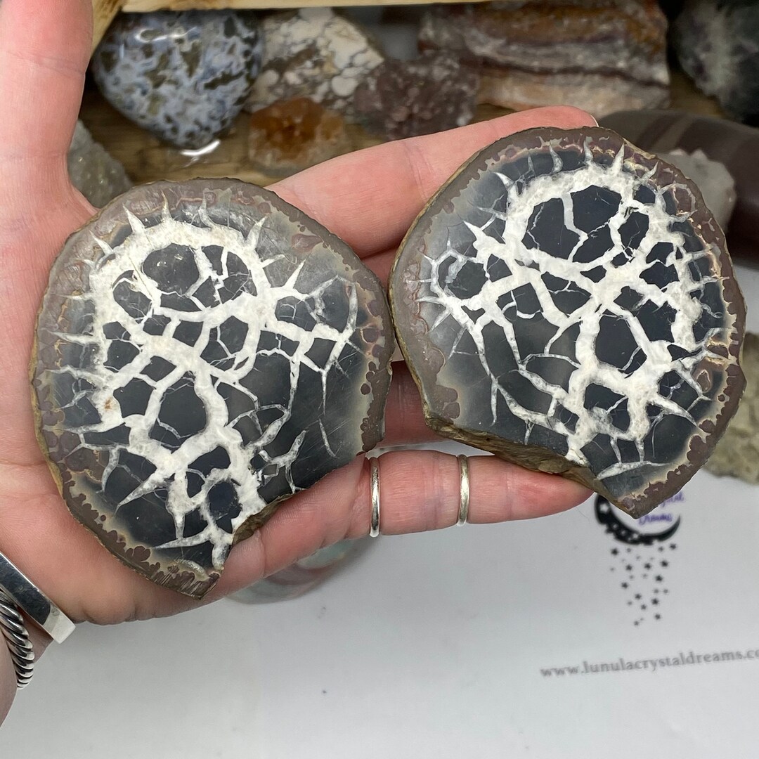 Septarian Large Nodule Pair 13, Septarian Nodule, Black Septarian ...