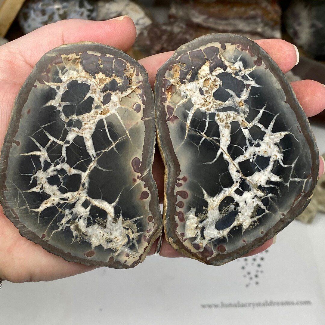Septarian Large Nodule Pair 19, Septarian Nodule, Black Septarian ...