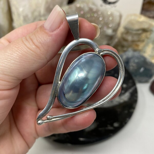 Nautilus Shell - Etsy