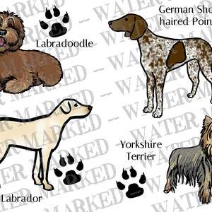Dog Breed Treasure Hunt | Scavenger Hunt Game | Dog I Spy | Outdoor ...