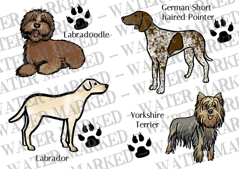 Dog Breed Treasure Hunt | Scavenger Hunt Game | Dog I Spy | Outdoor ...