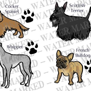 Dog Breed Treasure Hunt | Scavenger Hunt Game | Dog I Spy | Outdoor ...