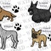 Dog Breed Treasure Hunt | Scavenger Hunt Game | Dog I Spy | Outdoor ...