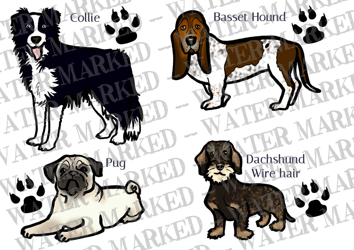 Dog Breed Treasure Hunt | Scavenger Hunt Game | Dog I Spy | Outdoor ...