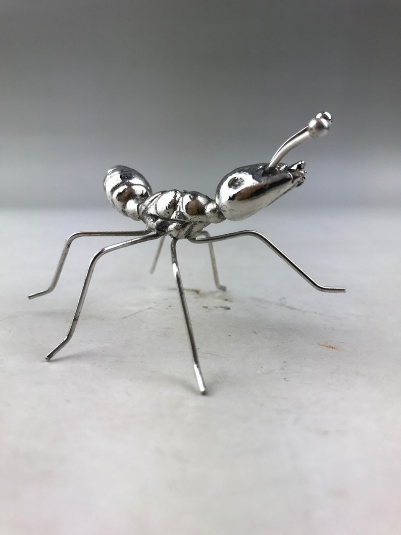 Ants Carved by Hand on the Silver Statue of Ancient Tibet in - Etsy