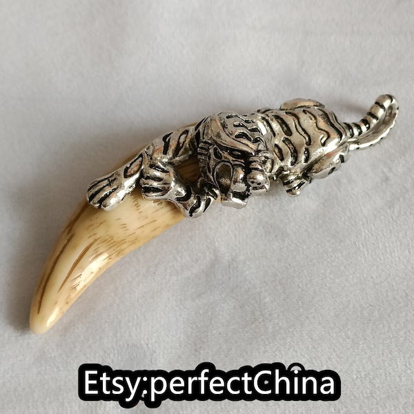 Real Tiger Tooth - Etsy
