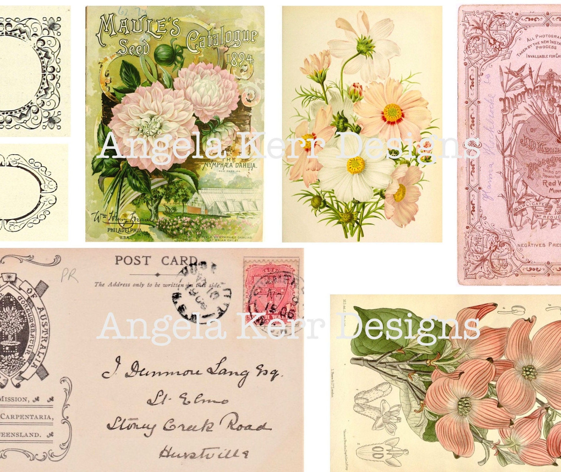 DIGITAL KIT - Floral Folly Ephemera — Angela Kerr Designs