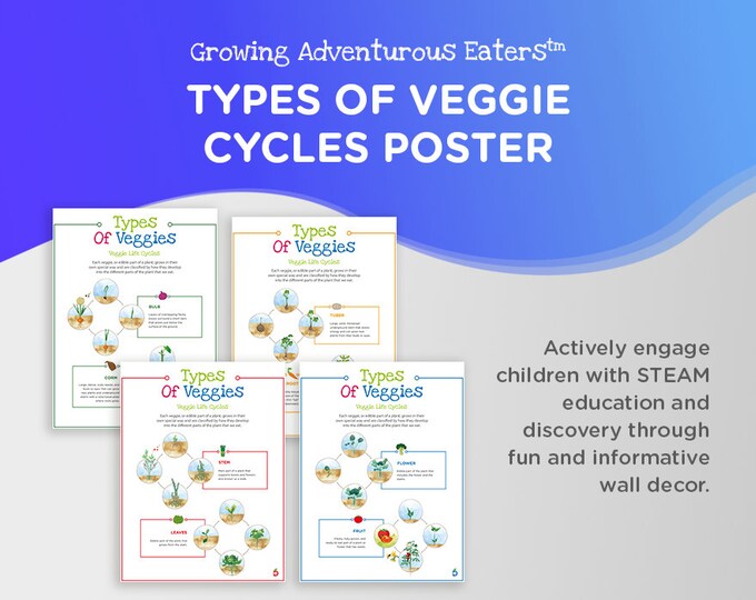 Printable Types of Veggies Poster set of 4 Posters, Horticulture ...