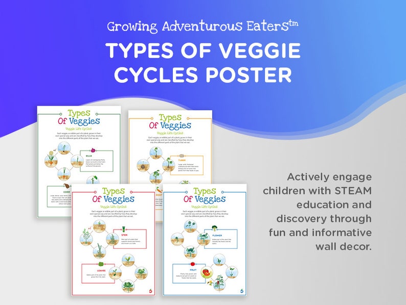 Printable Types of Veggies Poster set of 4 Posters, Horticulture ...