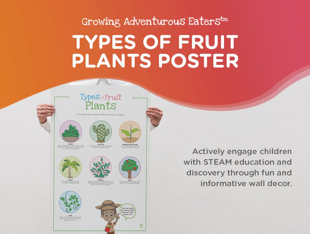 Printable Types of Fruit Plants Poster, Horticulture, School Art ...