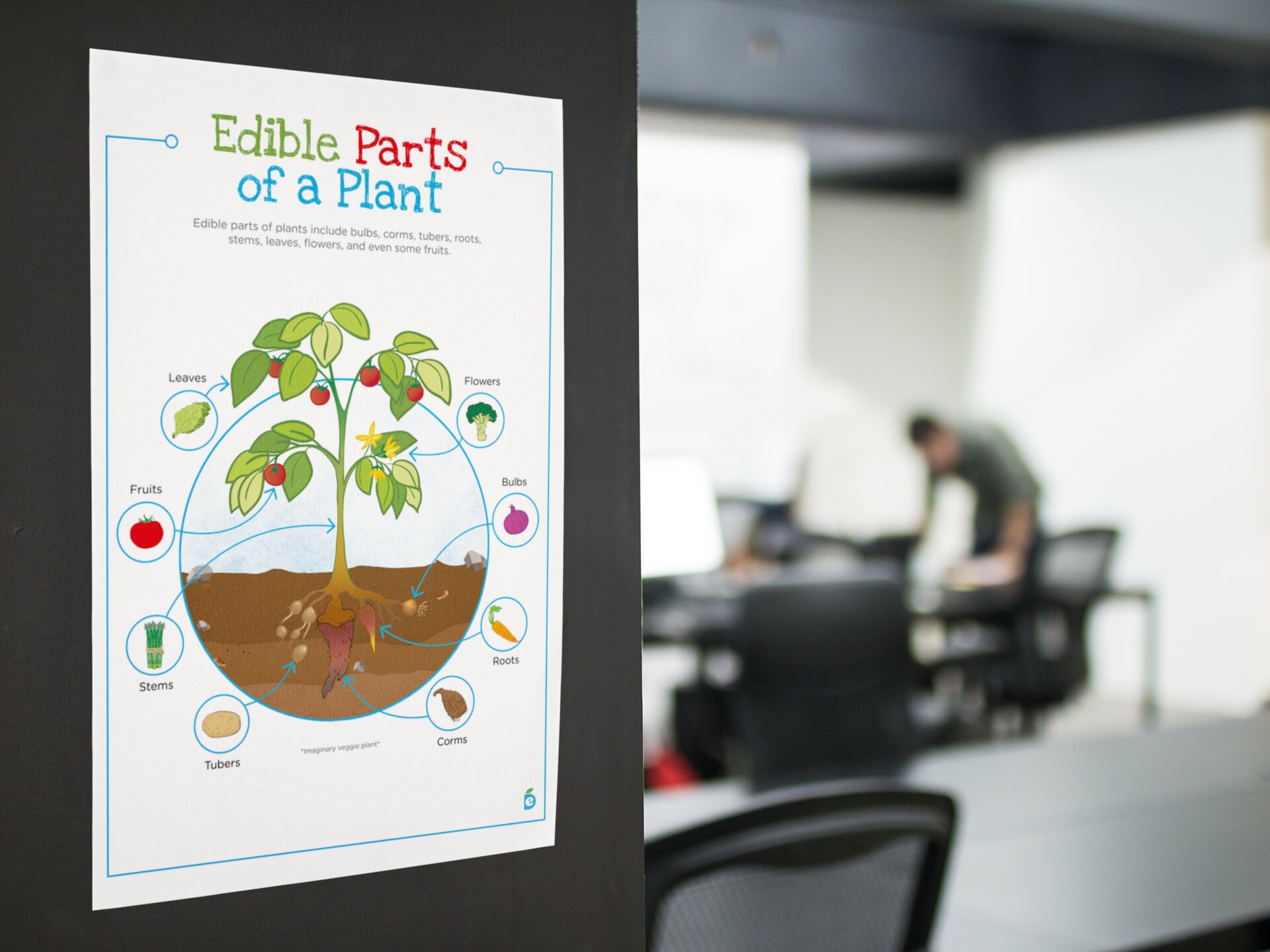Printable Edible Parts of a Plant Poster, Horticulture, School Art ...