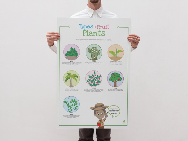 Printable Types of Fruit Plants Poster Horticulture School - Etsy