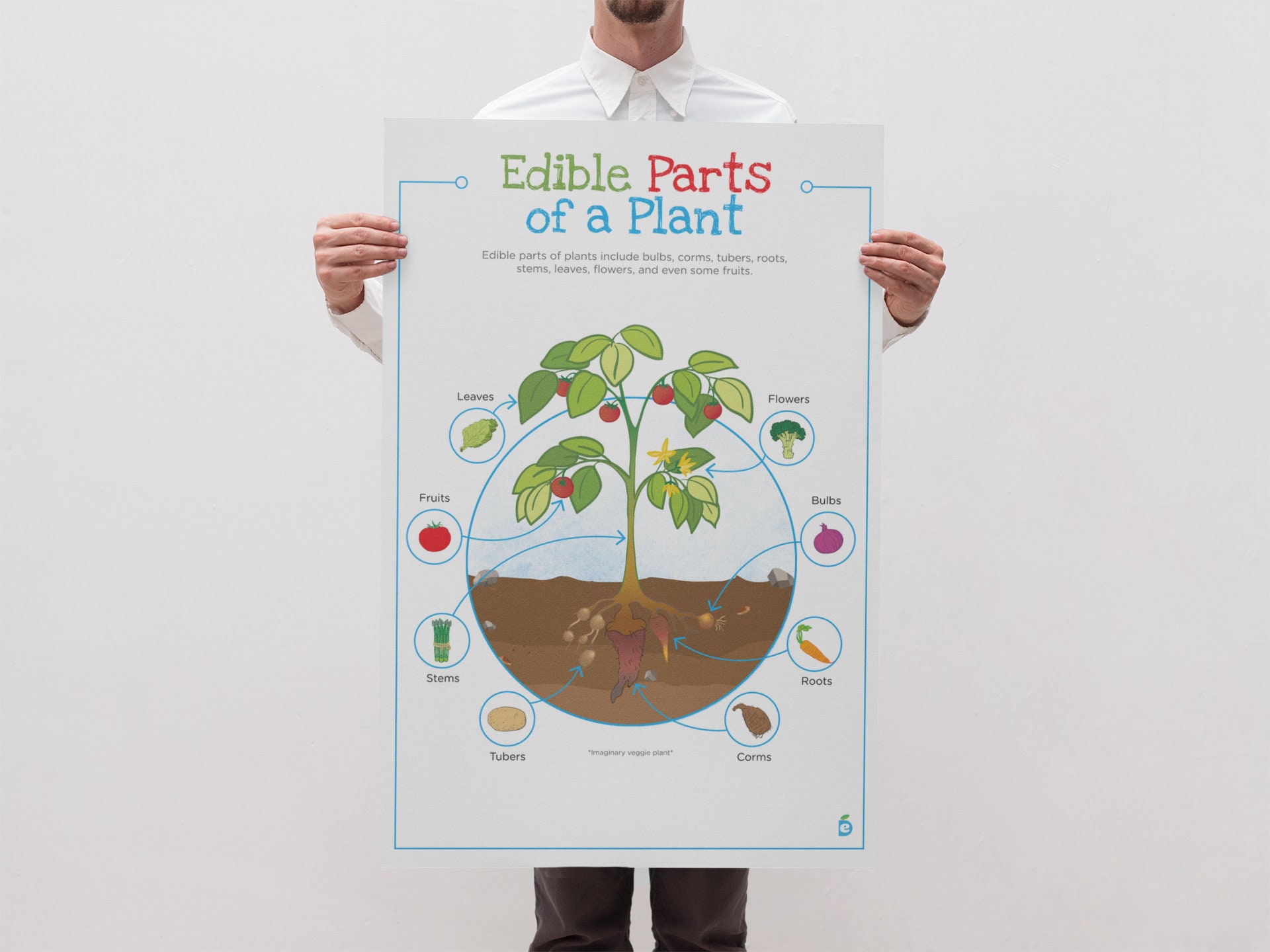 Printable Edible Parts of a Plant Poster, Horticulture, School Art ...