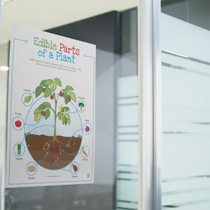 Printable Edible Parts of a Plant Poster, Horticulture, School Art ...