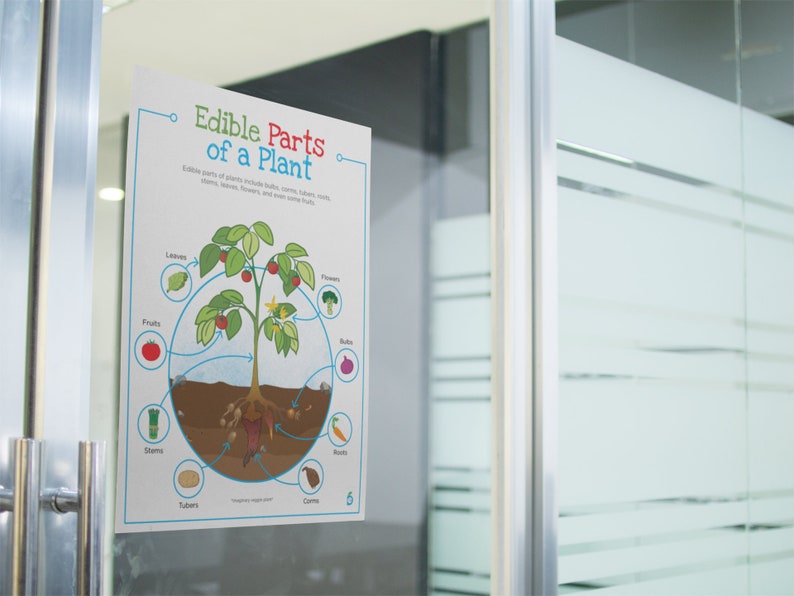 Printable Edible Parts of a Plant Poster, Horticulture, School Art ...