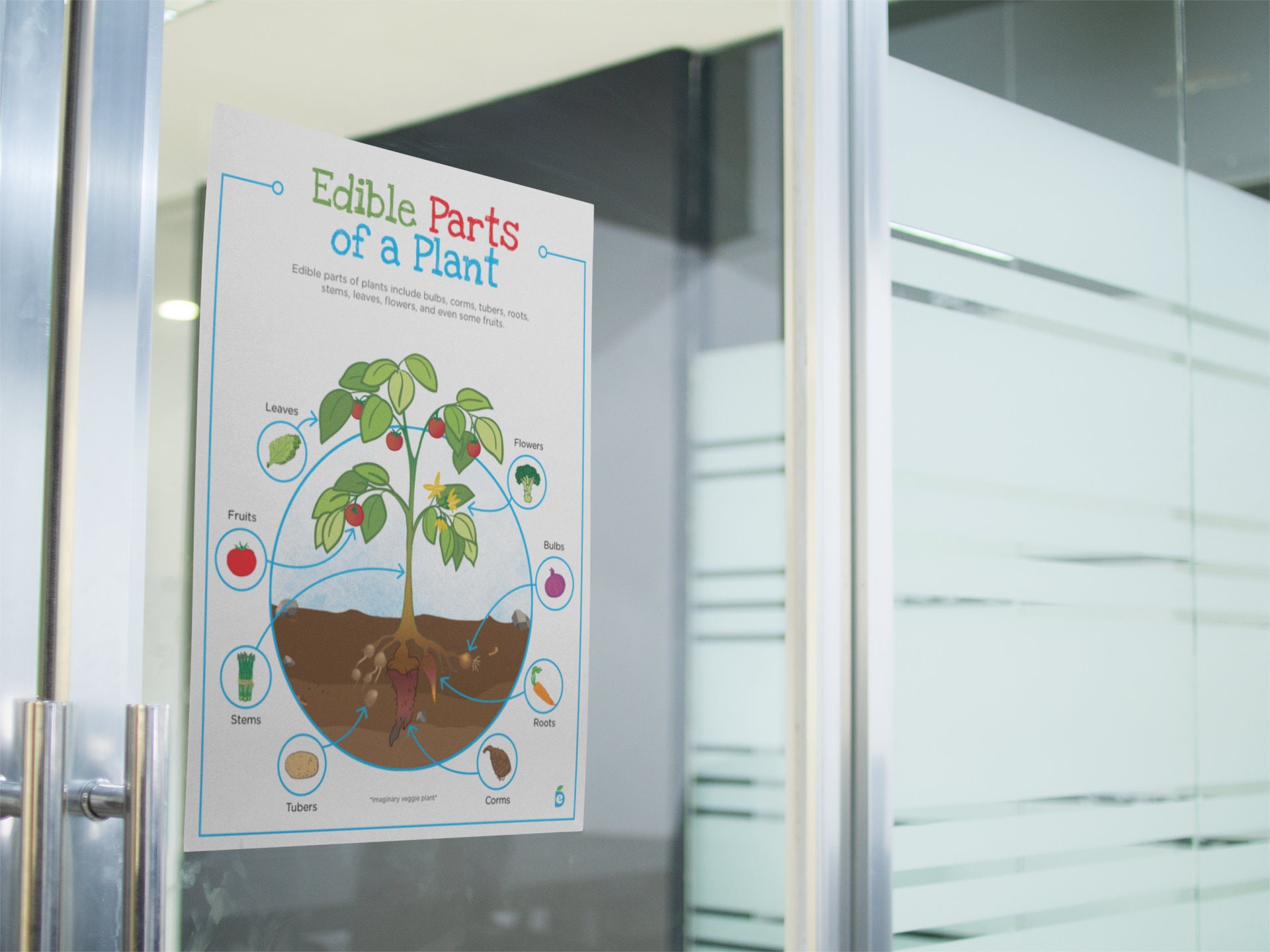 Printable Edible Parts of a Plant Poster, Horticulture, School Art ...