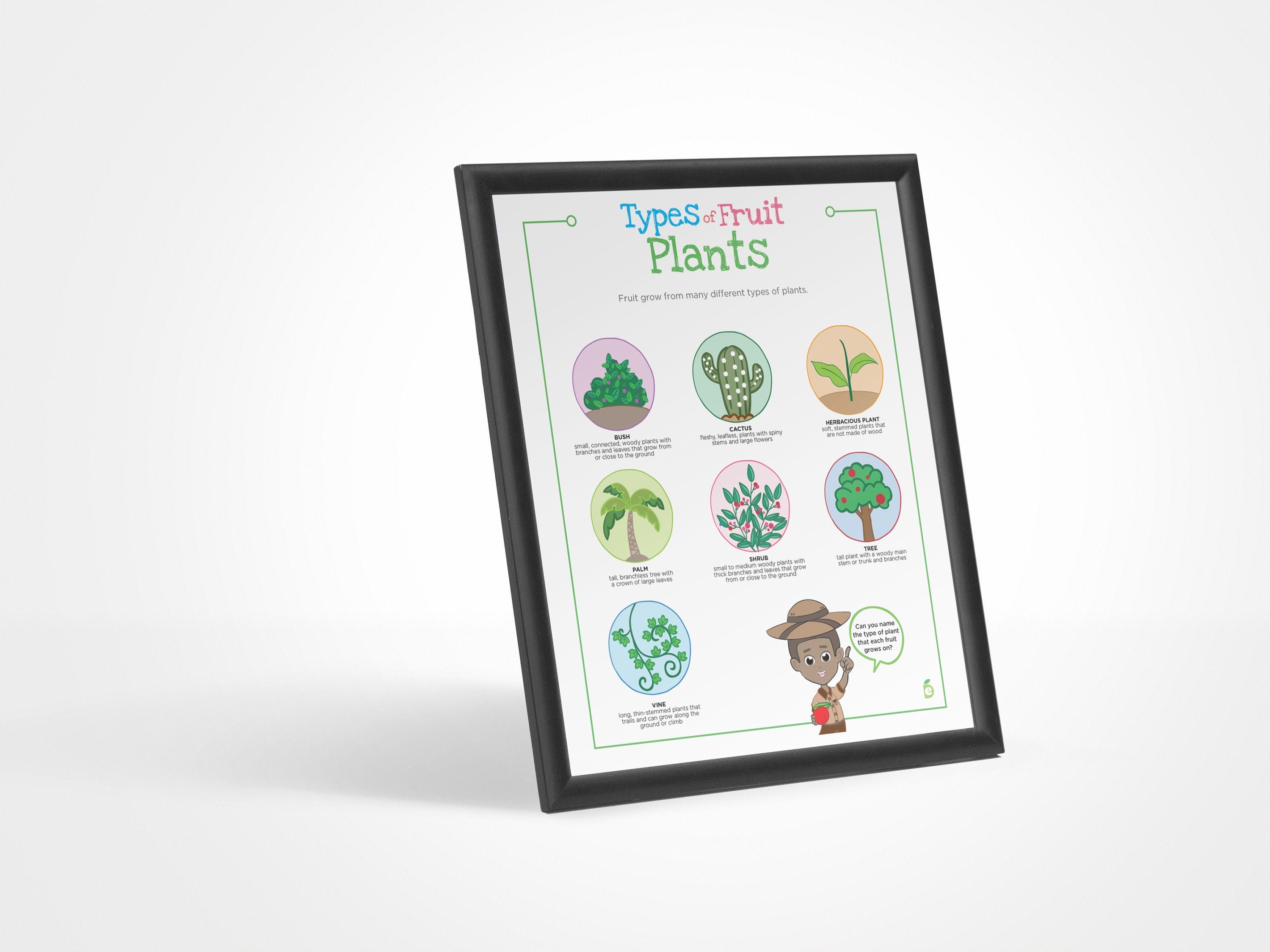 Printable Types of Fruit Plants Poster Horticulture School - Etsy