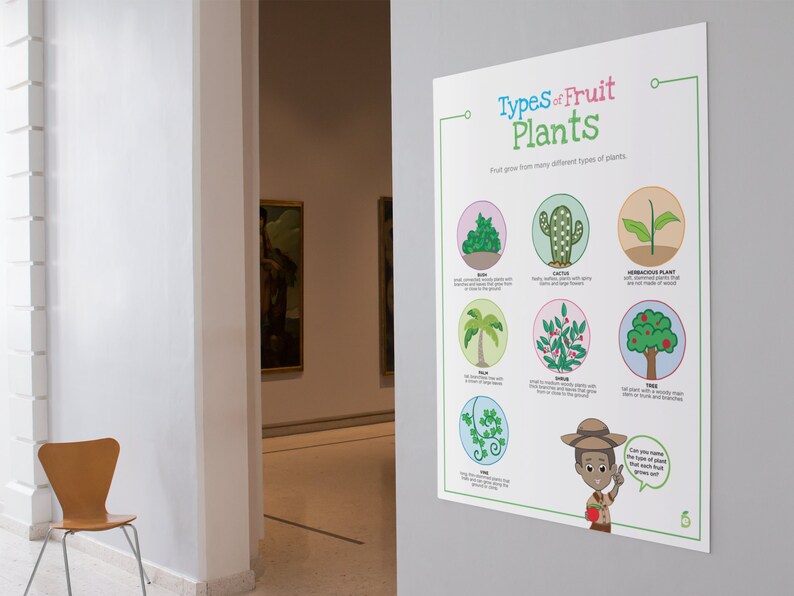 Printable Types of Fruit Plants Poster Horticulture School | Etsy