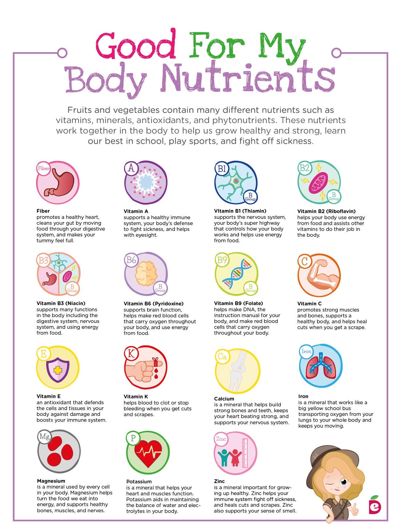 Printable Vitamin and Mineral Poster, Healthy Food Print, Biology ...