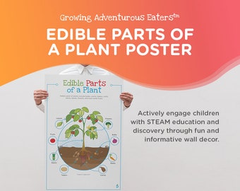 Parts of Plant Poster | Etsy